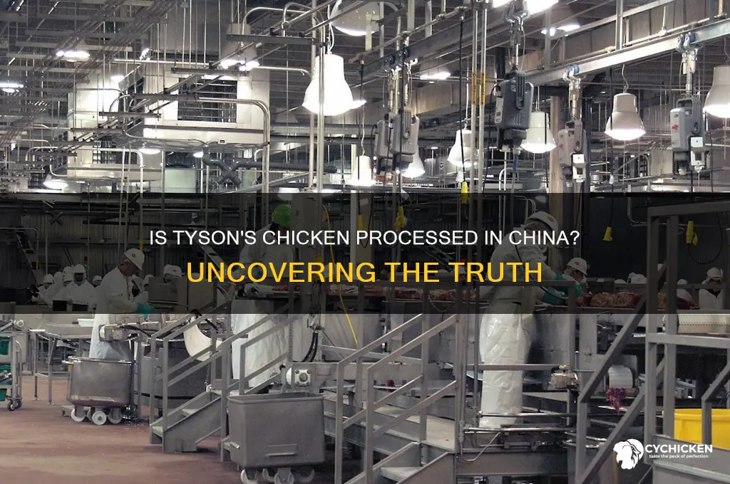 Is Tyson's Chicken Processed In China? Uncovering The Truth | CyChicken