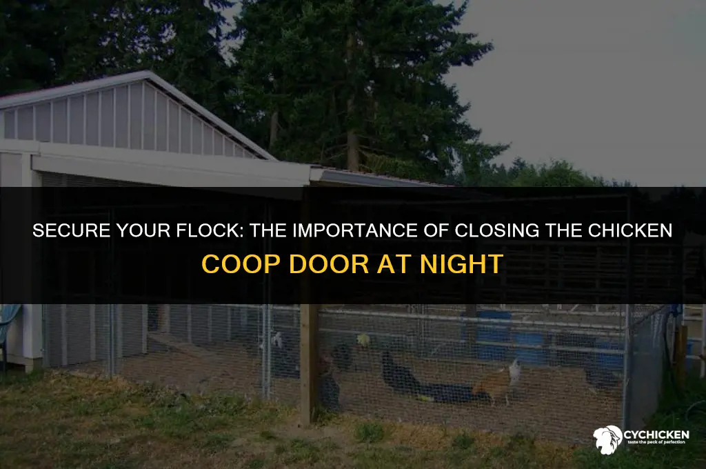 Secure Your Flock: The Importance Of Closing The Chicken Coop Door At ...