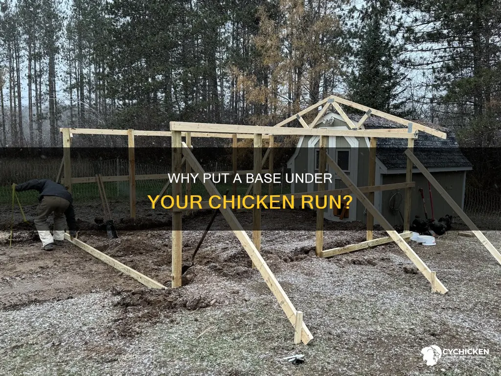 Why Put A Base Under Your Chicken Run? | CyChicken