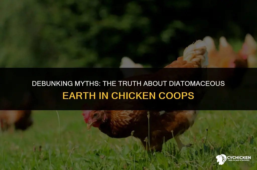 Debunking Myths: The Truth About Diatomaceous Earth In Chicken Coops ...