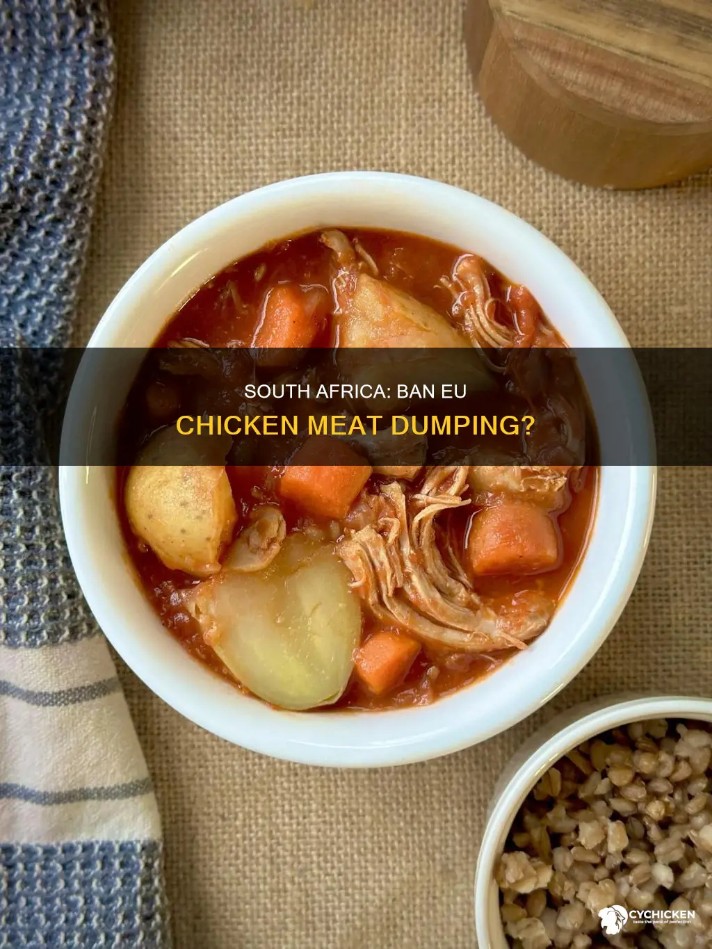South Africa: Ban Eu Chicken Meat Dumping? | CyChicken