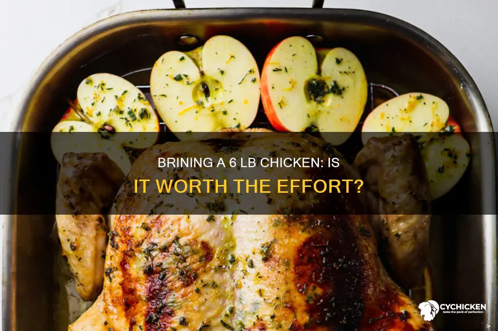 Brining A 6 Lb Chicken: Is It Worth The Effort? | CyChicken