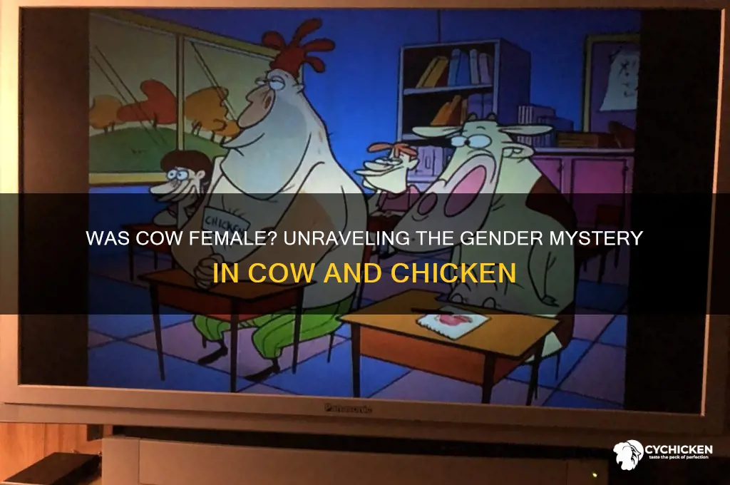 Was Cow Female? Unraveling The Gender Mystery In Cow And Chicken ...