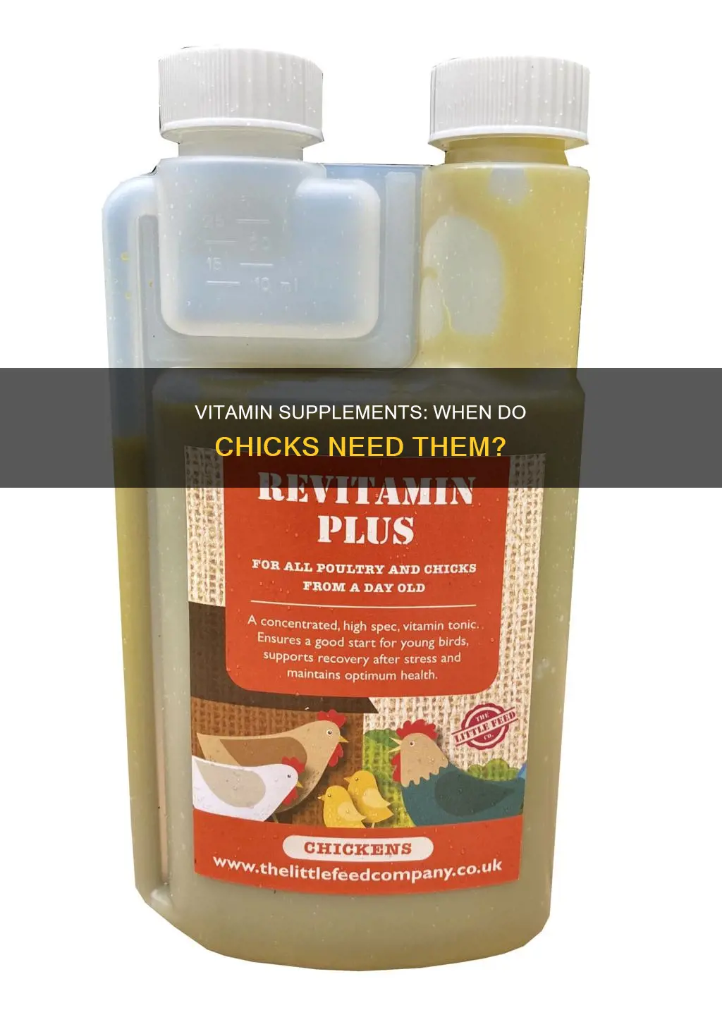 Vitamin Supplements: When Do Chicks Need Them? | CyChicken