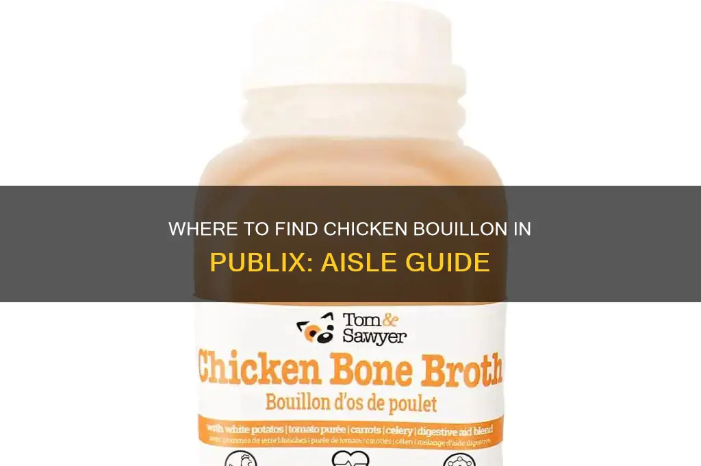 Where To Find Chicken Bouillon In Publix: Aisle Guide | CyChicken