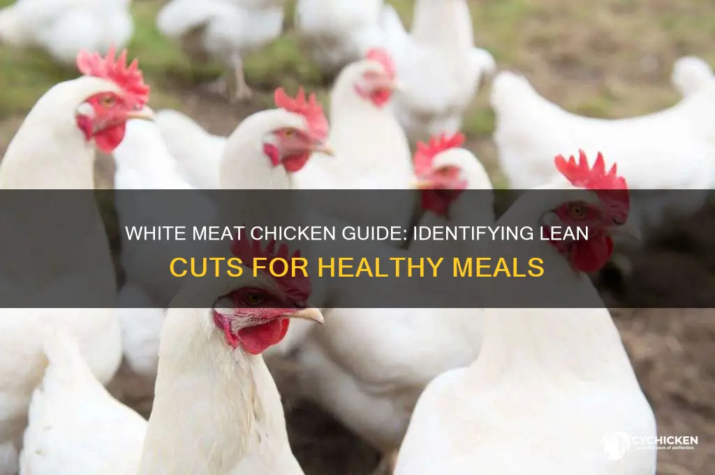 White Meat Chicken Guide: Identifying Lean Cuts For Healthy Meals ...