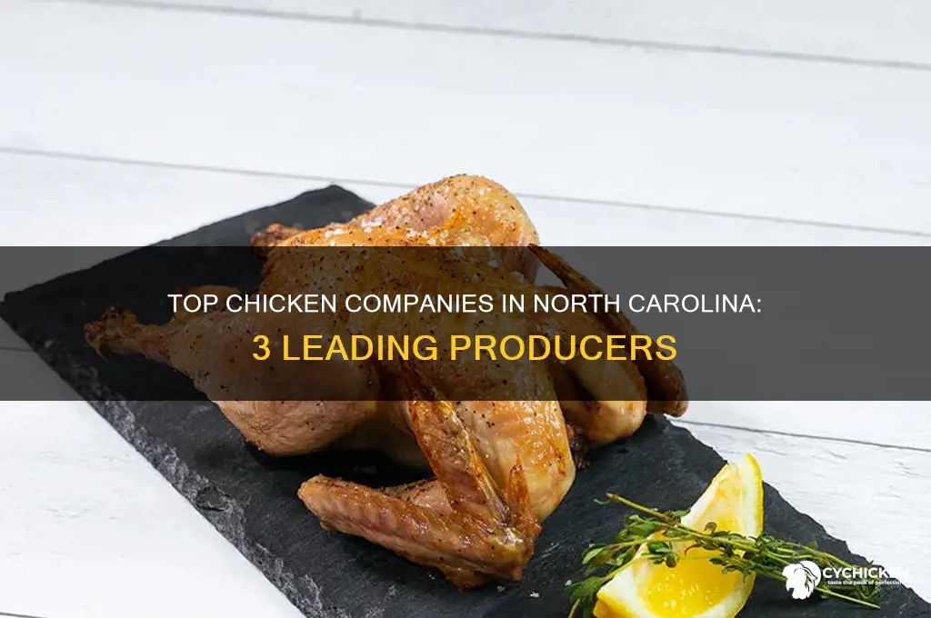 Top Chicken Companies In North Carolina: 3 Leading Producers | CyChicken