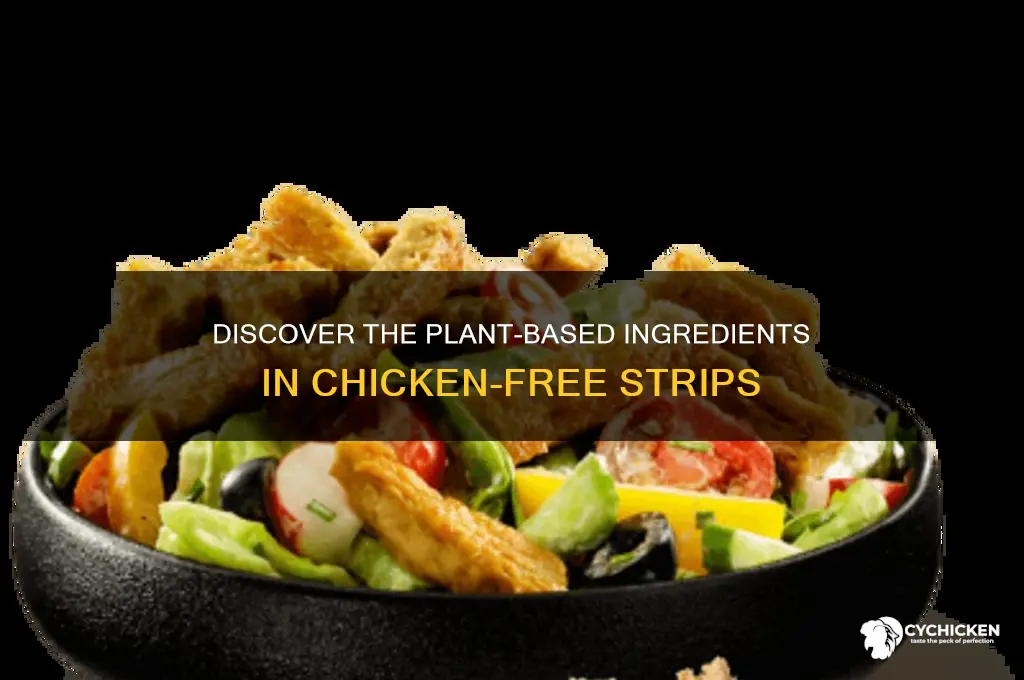 Discover The Plant-Based Ingredients In Chicken-Free Strips | CyChicken