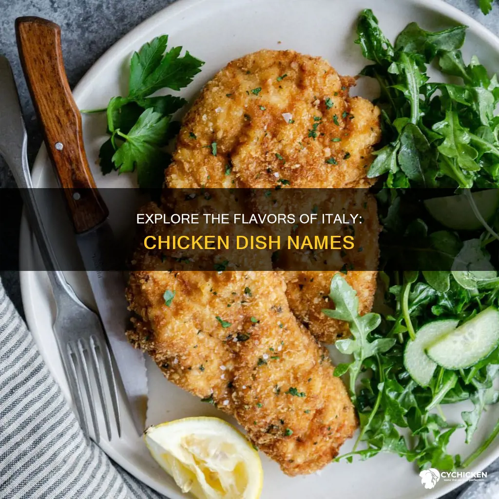 Explore The Flavors Of Italy: Chicken Dish Names | CyChicken