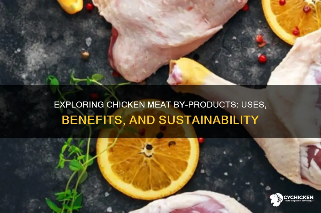 Exploring Chicken Meat By-Products: Uses, Benefits, And Sustainability ...
