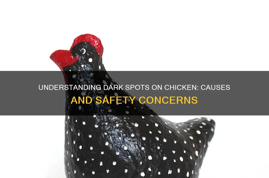 Understanding Dark Spots On Chicken: Causes And Safety Concerns | CyChicken