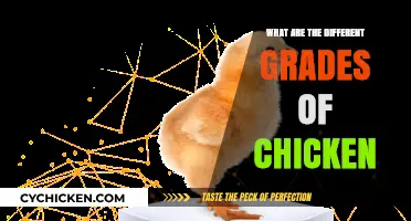 Understanding Chicken Giblets: Uses, Benefits, And Culinary Tips ...