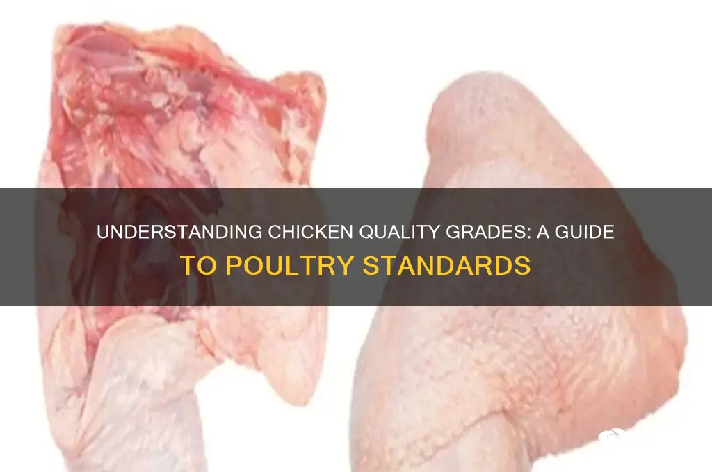 Understanding Chicken Quality Grades: A Guide To Poultry Standards ...