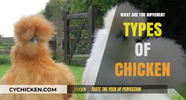 Understanding Chicken Grades: A Guide To Quality And Classification ...