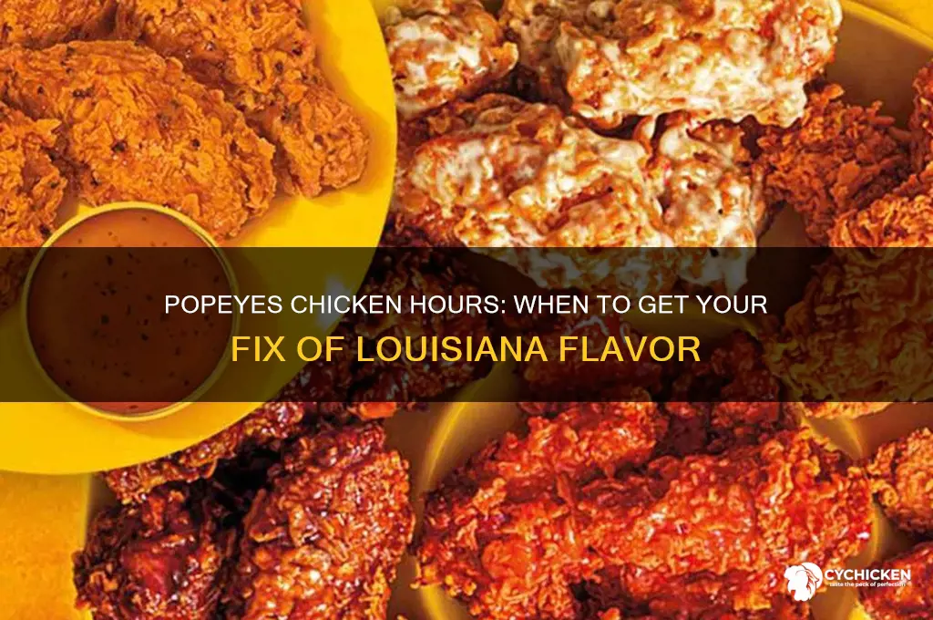 Popeyes Chicken Hours: When To Get Your Fix Of Louisiana Flavor | CyChicken