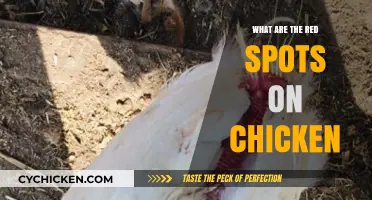 Understanding Chicken Meat: A Breakdown Of Its Key Parts And Uses ...