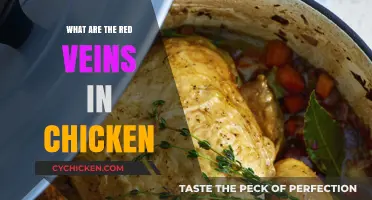 From Egg To Flock: Understanding The Life Stages Of Chickens | CyChicken