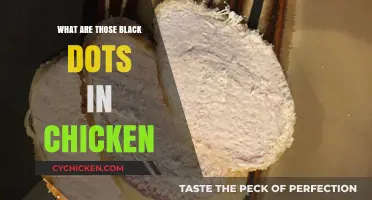 From Egg To Flock: Understanding The Life Stages Of Chickens | CyChicken
