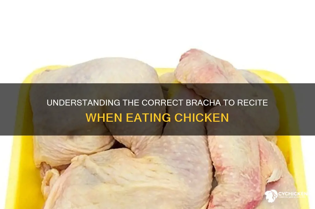 Understanding The Correct Bracha To Recite When Eating Chicken | CyChicken