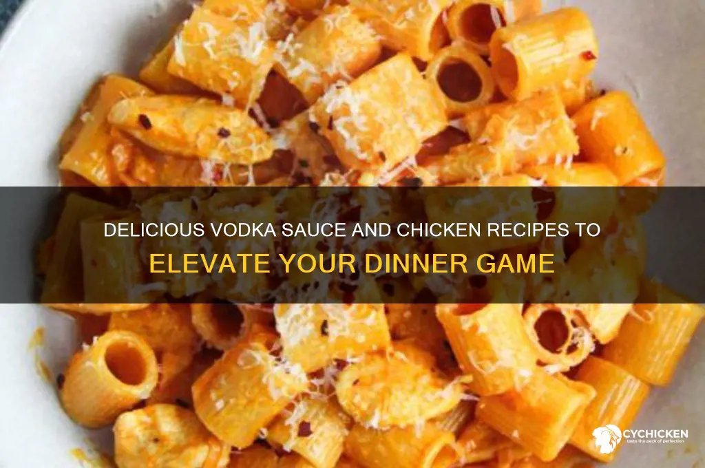Delicious Vodka Sauce And Chicken Recipes To Elevate Your Dinner Game ...