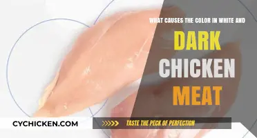 Understanding Paralysis In Chickens: Causes And Prevention | CyChicken