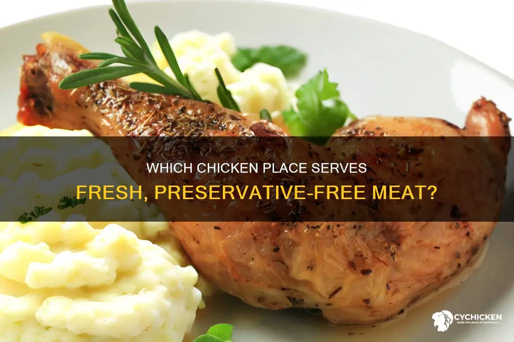 Which Chicken Place Serves Fresh, Preservative-Free Meat? | CyChicken