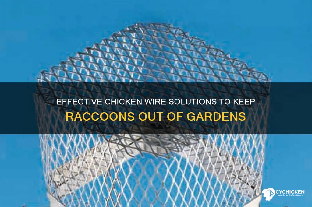 Effective Chicken Wire Solutions To Keep Raccoons Out Of Gardens ...