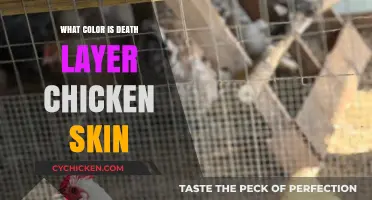 Choosing The Right Cutting Board Color For Safe Raw Chicken Prep ...