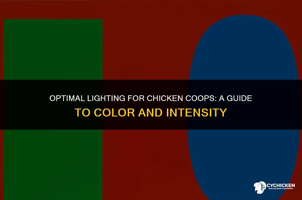 Optimal Lighting For Chicken Coops: A Guide To Color And Intensity ...