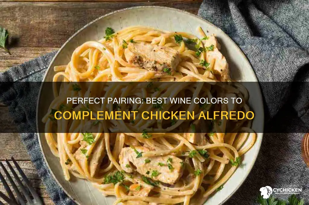 Perfect Pairing: Best Wine Colors To Complement Chicken Alfredo | CyChicken
