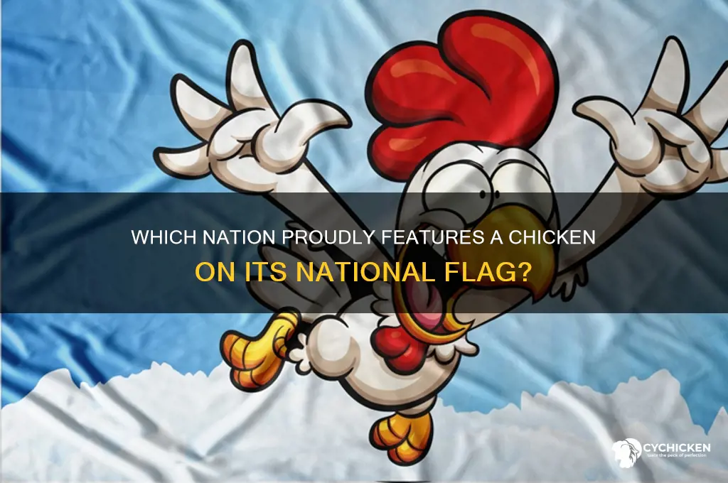 Which Nation Proudly Features A Chicken On Its National Flag? | CyChicken