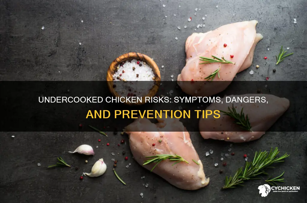 Undercooked Chicken Risks: Symptoms, Dangers, And Prevention Tips ...