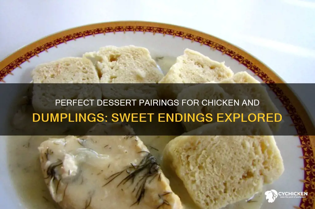 Perfect Dessert Pairings For Chicken And Dumplings: Sweet Endings ...