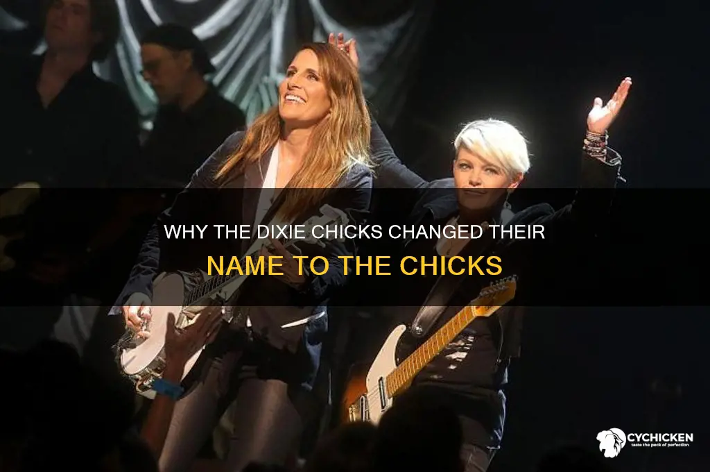 Why The Dixie Chicks Changed Their Name To The Chicks | CyChicken