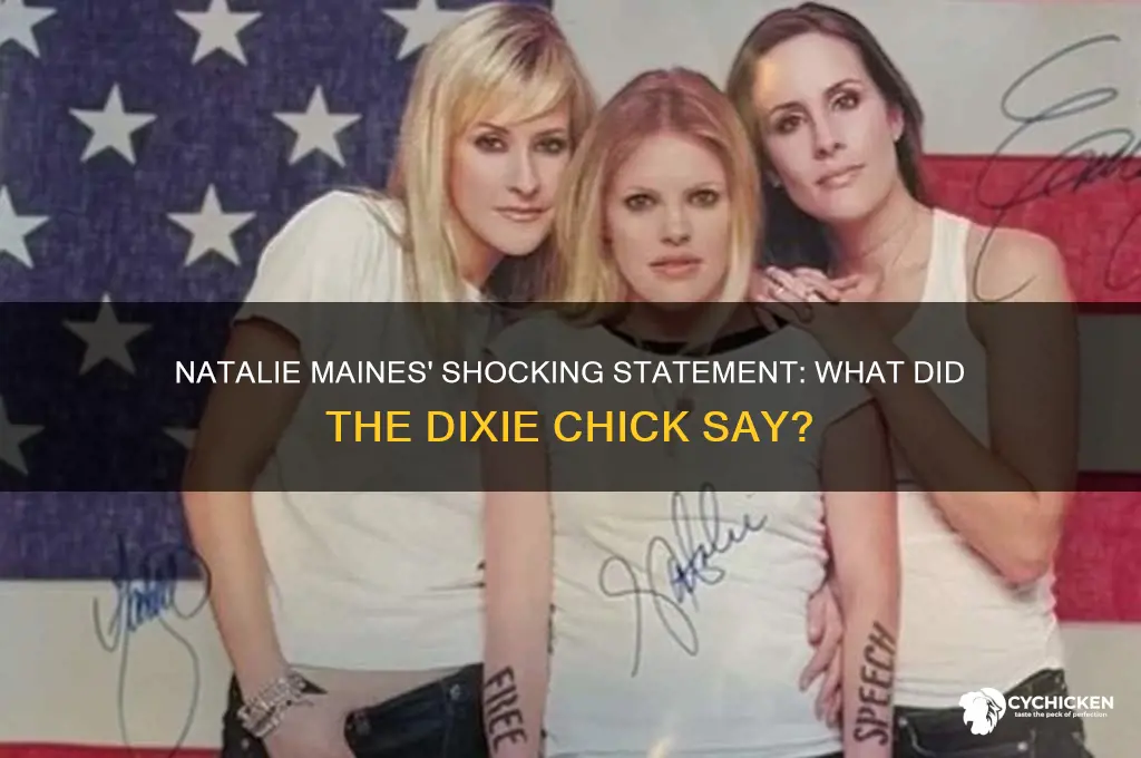 Natalie Maines' Shocking Statement: What Did The Dixie Chick Say ...