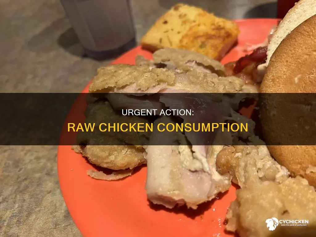 Urgent Action: Raw Chicken Consumption | CyChicken