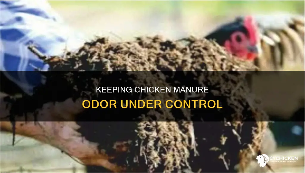 Keeping Chicken Manure Odor Under Control | CyChicken