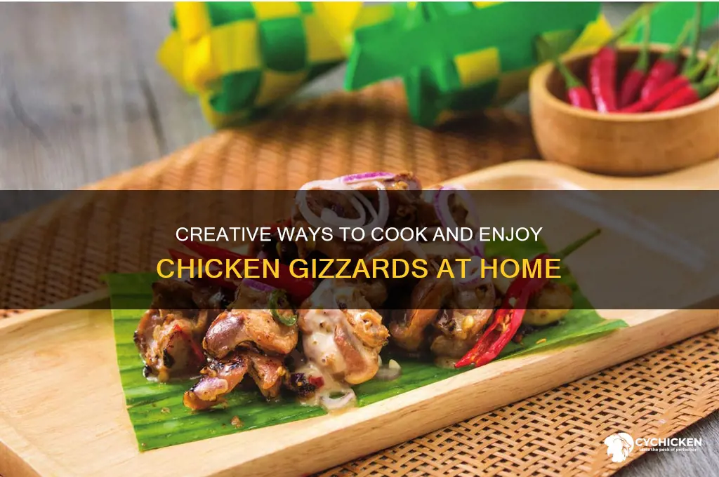 Creative Ways To Cook And Enjoy Chicken Gizzards At Home | CyChicken