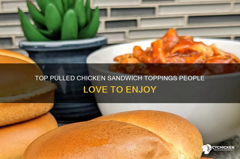 Top Pulled Chicken Sandwich Toppings People Love To Enjoy | CyChicken