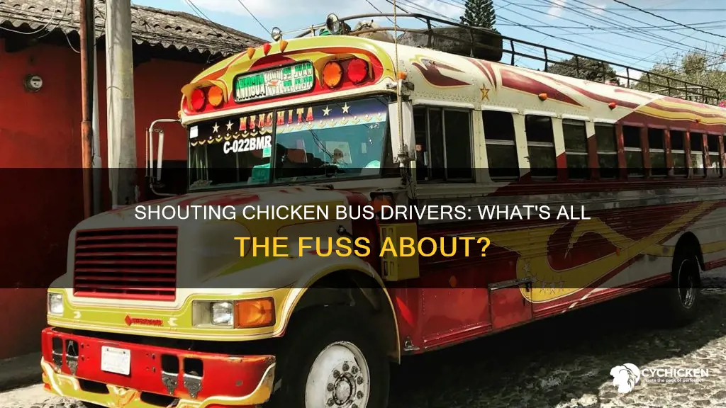 Shouting Chicken Bus Drivers: What's All The Fuss About? | CyChicken