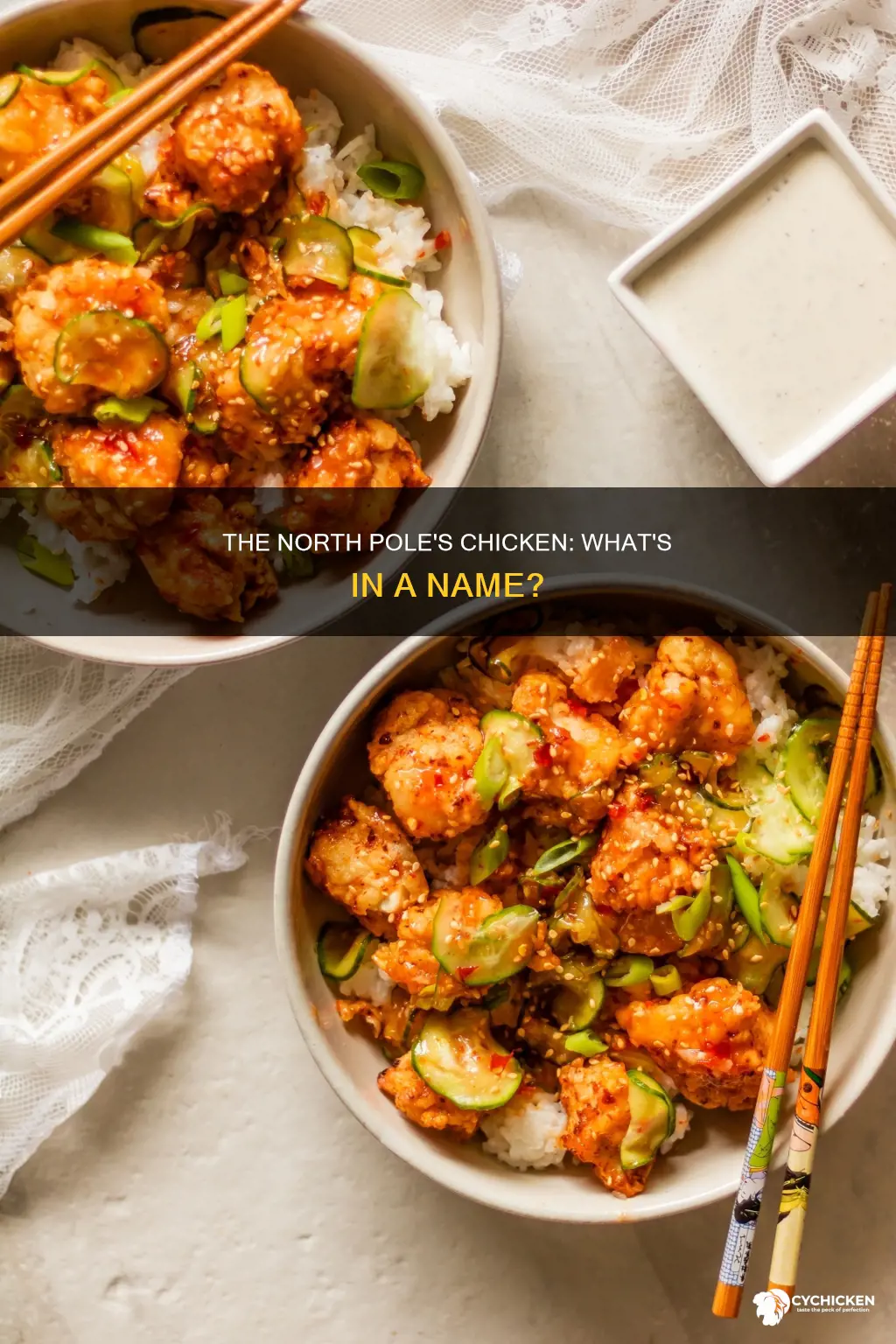 The North Pole's Chicken: What's In A Name? | CyChicken