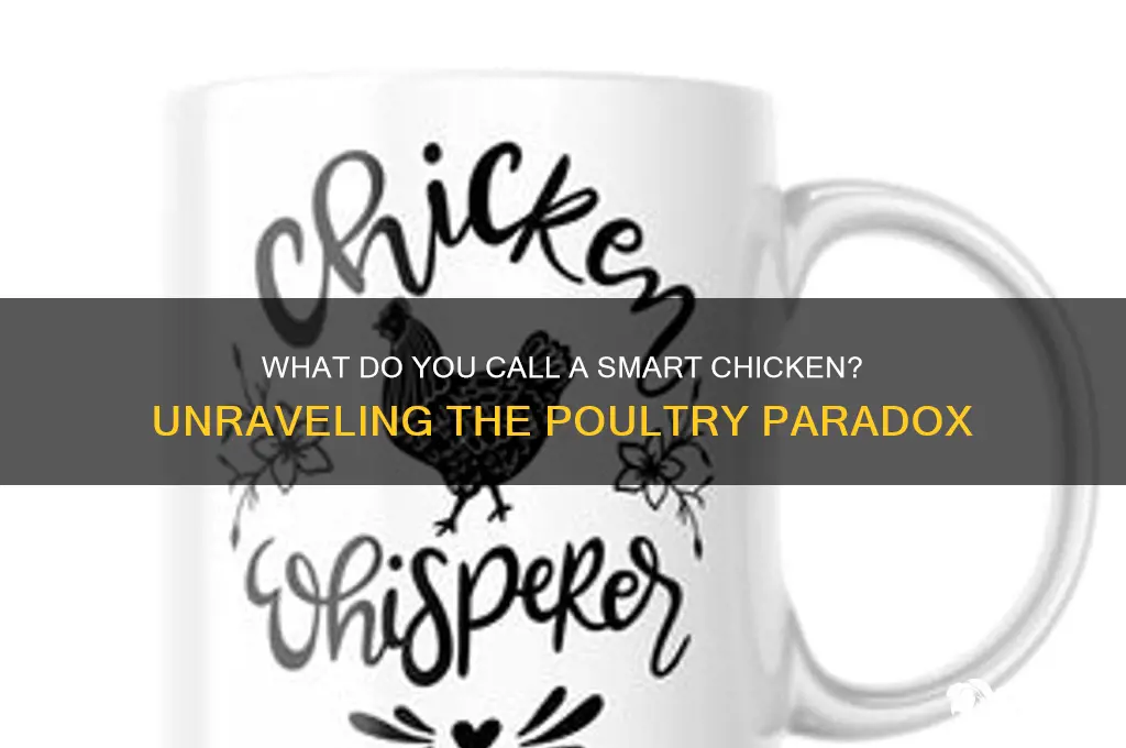 What Do You Call A Smart Chicken? Unraveling The Poultry Paradox ...