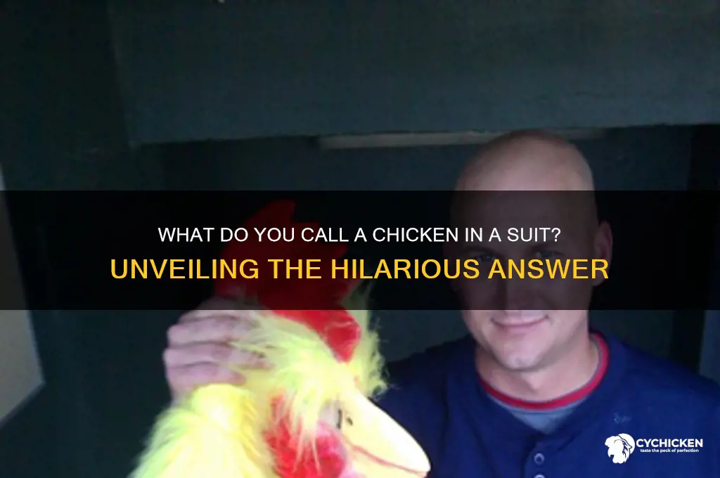 What Do You Call A Chicken In A Suit? Unveiling The Hilarious Answer ...