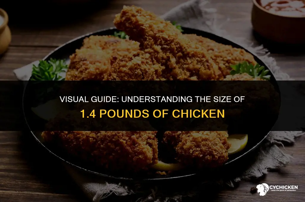 Visual Guide: Understanding The Size Of 1.4 Pounds Of Chicken | CyChicken