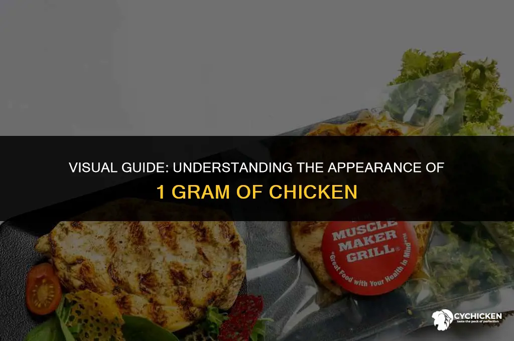 Visual Guide: Understanding The Appearance Of 1 Gram Of Chicken | CyChicken