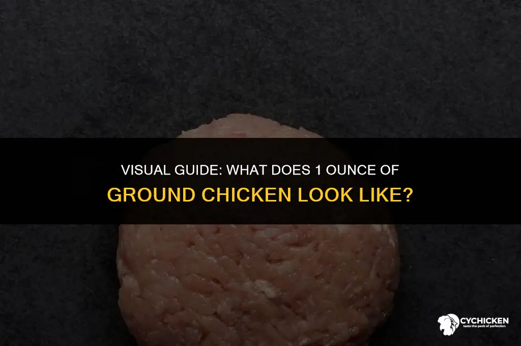 Visual Guide: What Does 1 Ounce Of Ground Chicken Look Like? | CyChicken