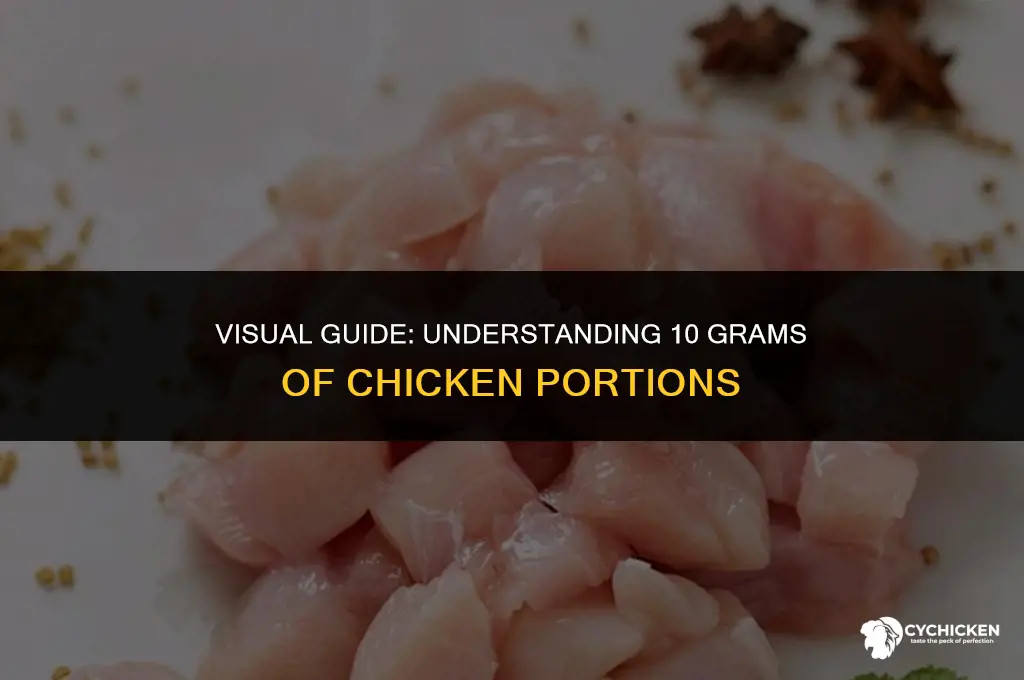Visual Guide: Understanding 10 Grams Of Chicken Portions | CyChicken