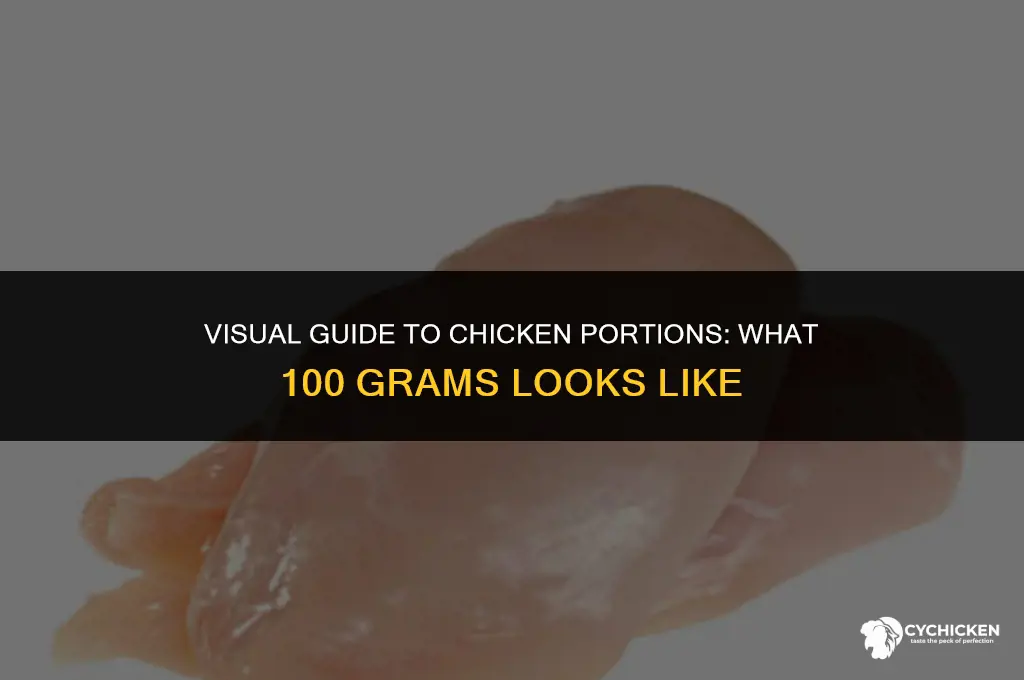 Visual Guide To Chicken Portions: What 100 Grams Looks Like | CyChicken