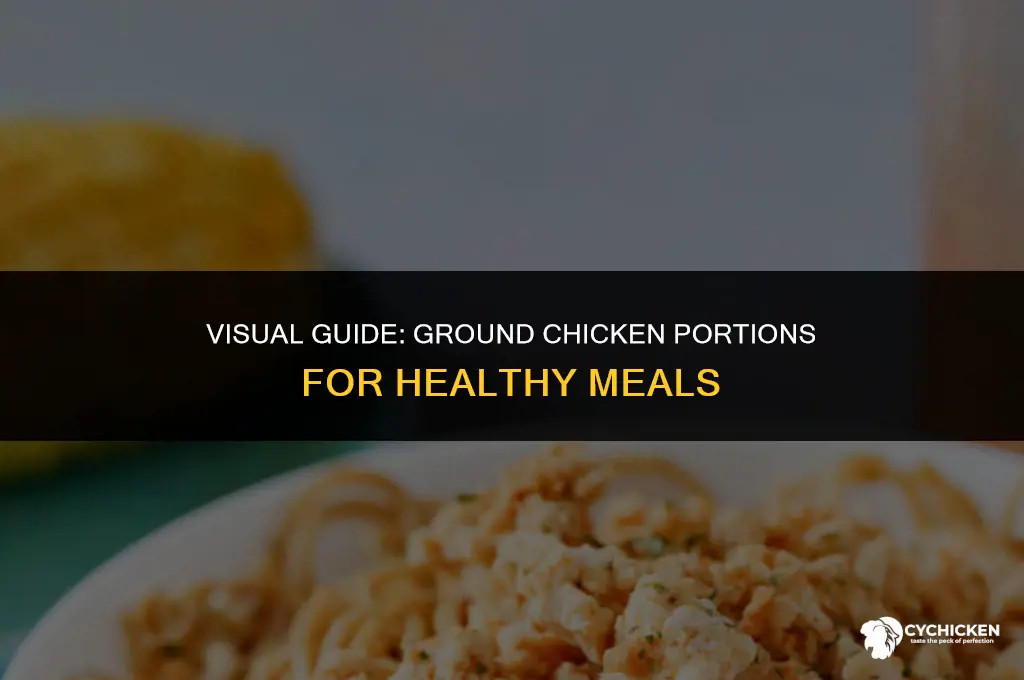 Visual Guide: Ground Chicken Portions For Healthy Meals | CyChicken