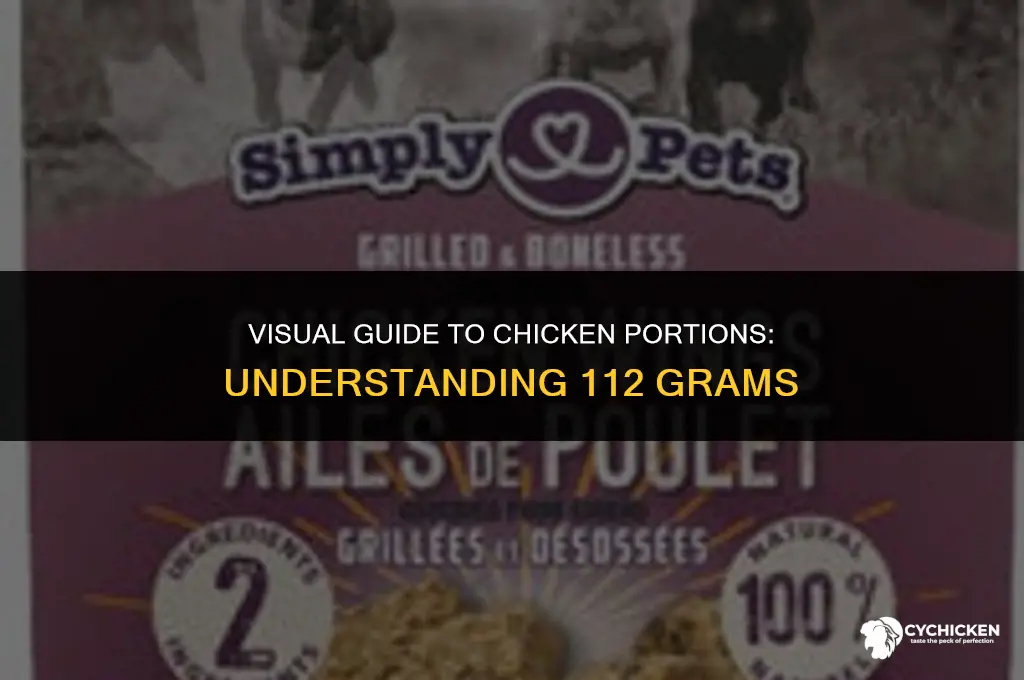 Visual Guide To Chicken Portions: Understanding 112 Grams | CyChicken